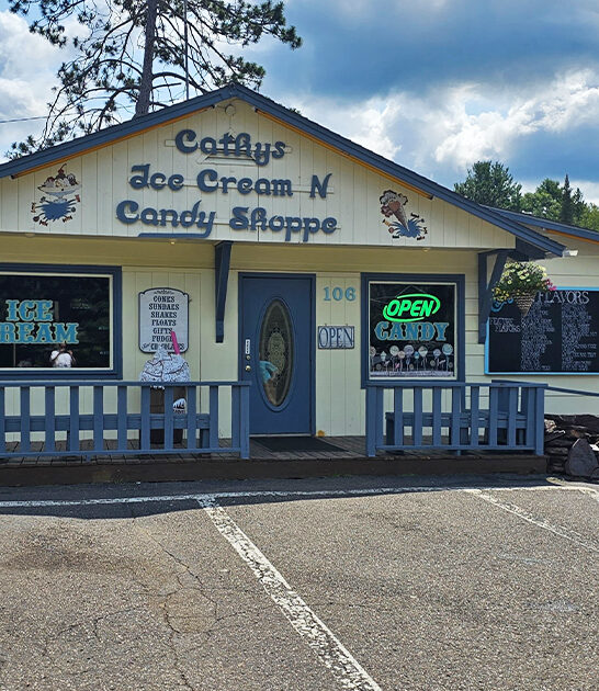 giant ice cream wisconsin ftr