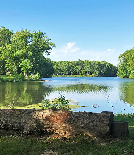gorgeous hidden park illinois ftr