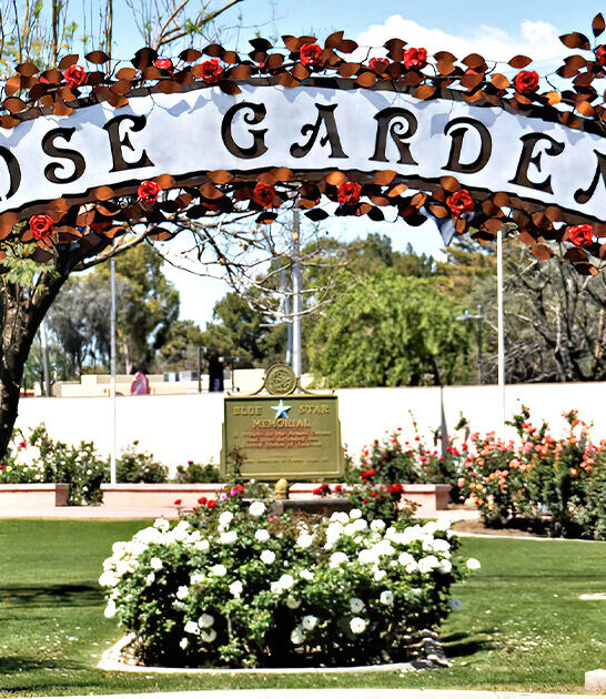 gorgeous rose garden arizona ftr