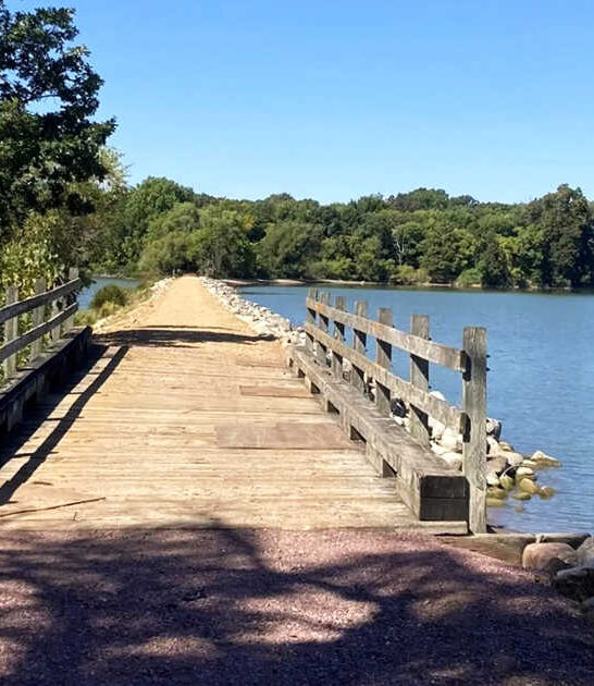 gorgeous state park minnesota ftr