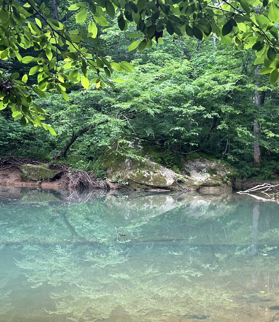 gorgeous swimming hole illinois ftr