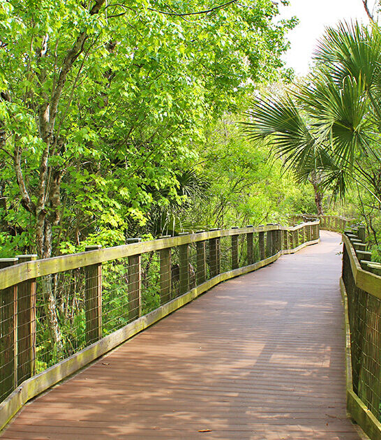 hidden picturesque park florida ftr
