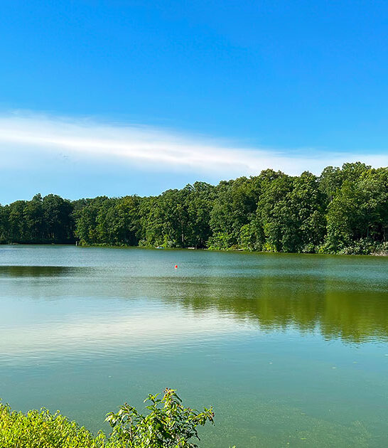 hidden state park illinois ftr