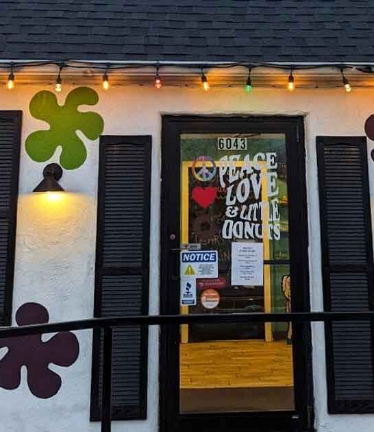 hippie donut shop michigan ftr