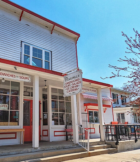 homemade michigan ice cream ftr