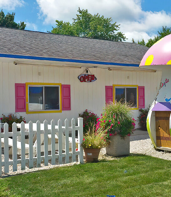 ice cream shop illinois ftr