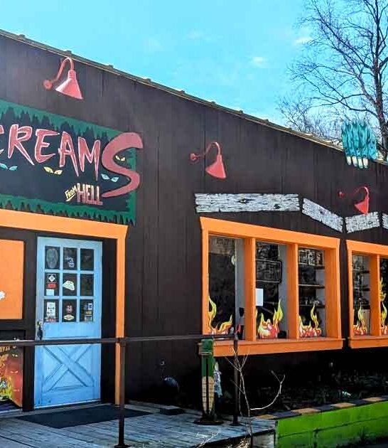 ice cream shops michigan ftr