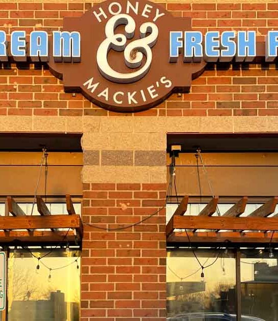 ice cream shops minnesota ftr