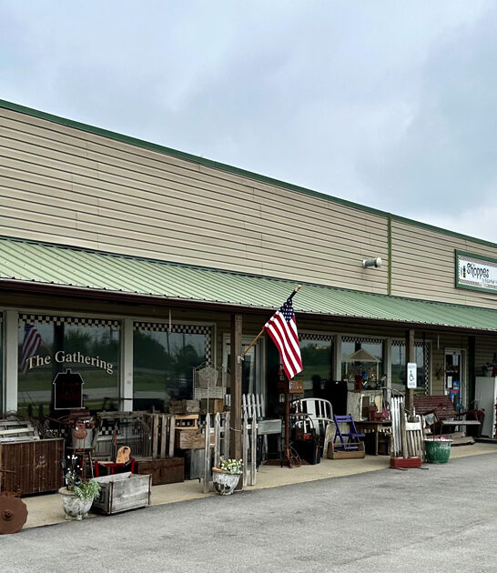 illinois vintage inspired cafe ftr