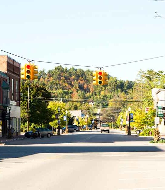 irresistibly charming town michigan ftr