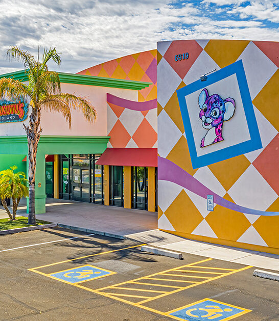 jungle themed playground arizona ftr