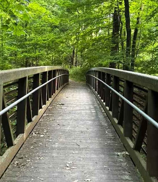 long forest hike illinois ftr