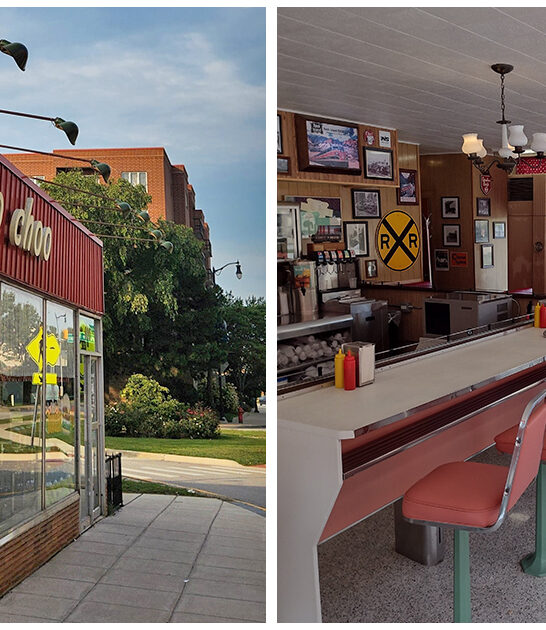 lovable-quirky-diner-illinois ftr