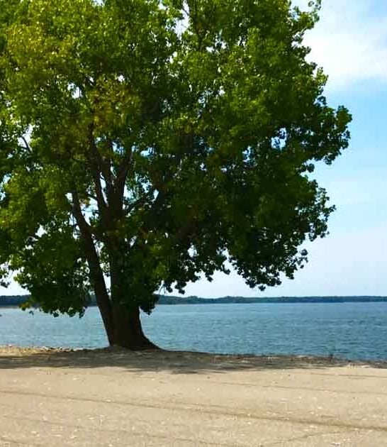 man made lake illinois ftr