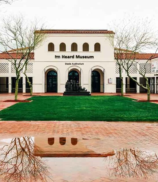 massive museum arizona ftr