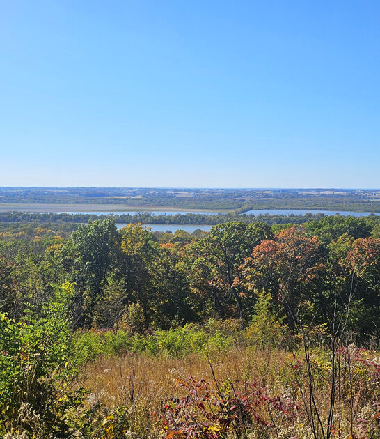 massive state park illinois ftr