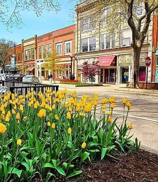 michigan postcard worthy town ftr