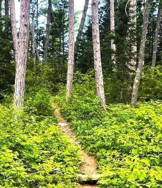 minnesota stunning secret lakes ftr