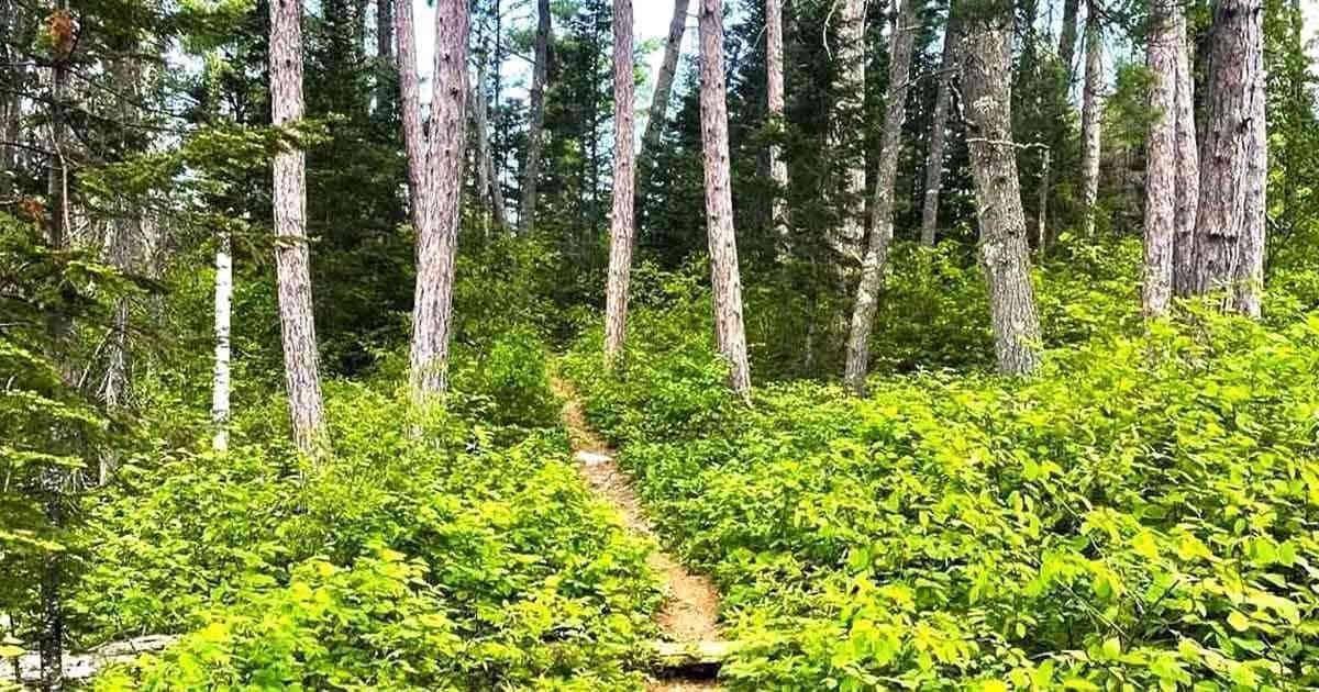 The Little-Known 4.3-Mile Trail In Minnesota That Leads To 3 Stunning ...