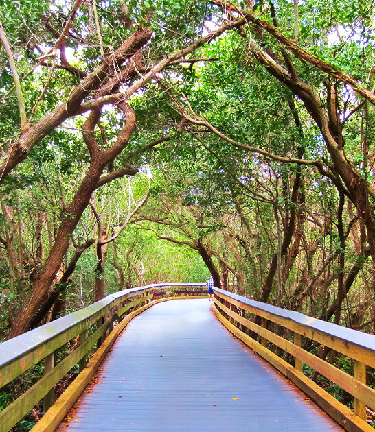 most gorgeous beach florida ftr