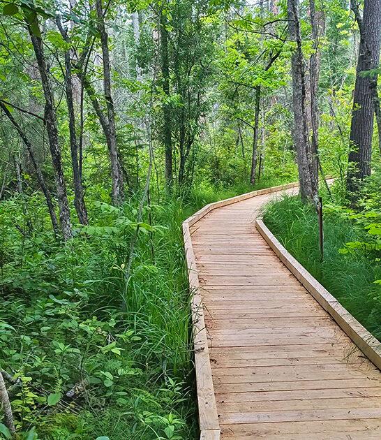 most scenic hike minnesota ftr