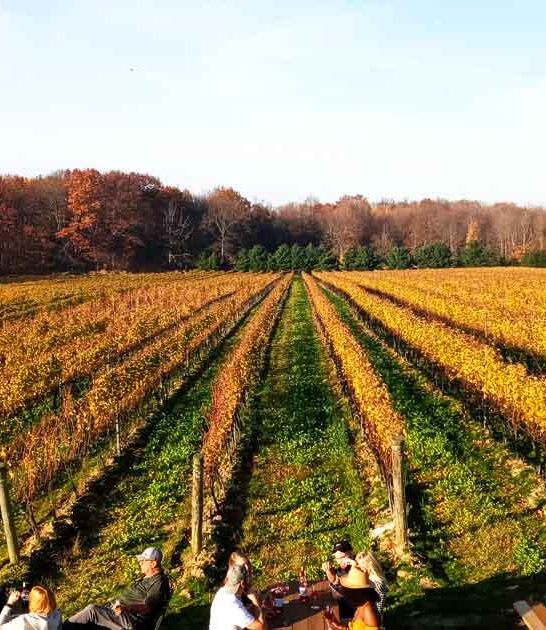 most stunning winery ohio ftr