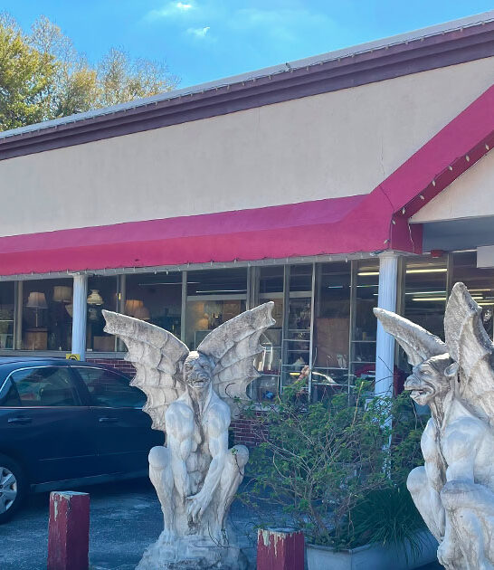 museum like store florida ftr