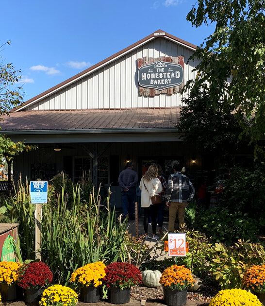 must visit bakeries illinois ftr