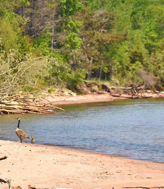 perfect state park wisconsin ftr