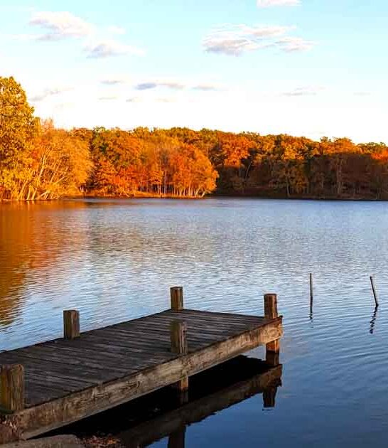 picturesque state park illinois ftr