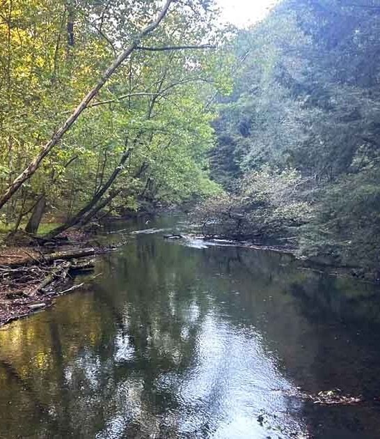 picturesque trail ohio adventure ftr