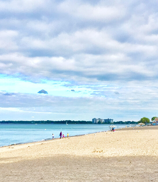 postcard perfect beach michigan ftr