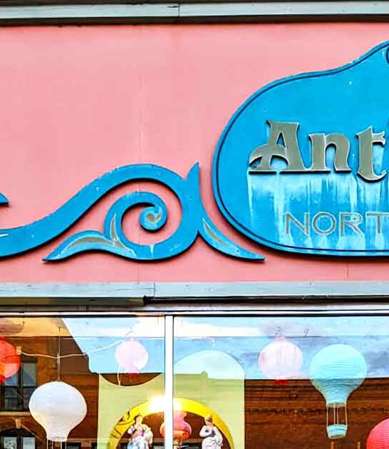 quirky minnesota antique store ftr
