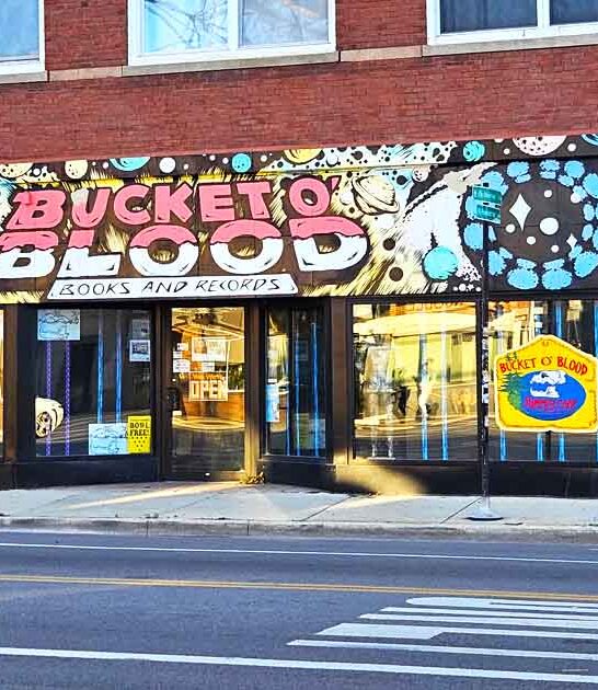 quirky record store illinois ftr