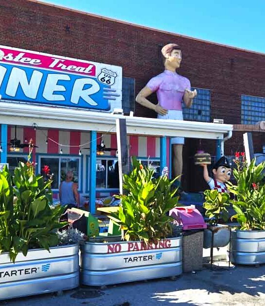 quirky roadside diner illinois ftr