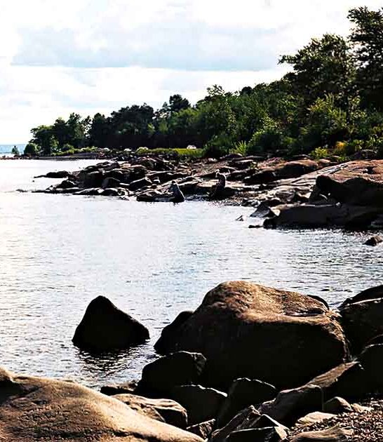 rocky black beach minnesota ftr