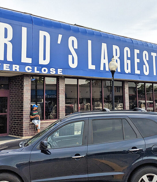 secret bird aviary illinois ftr