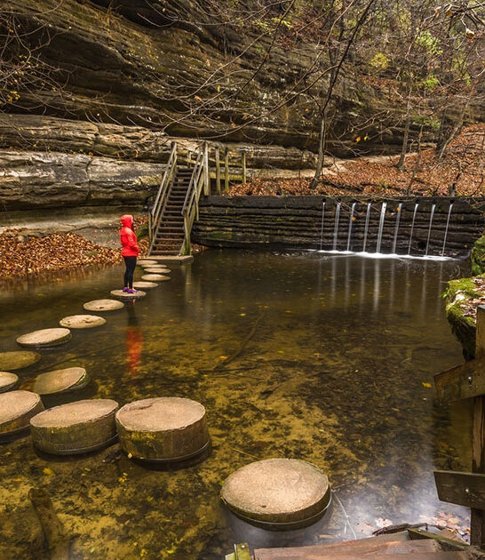 secret sunflower field illinois ftr