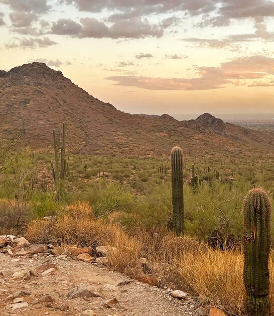 short easy hike arizona ftr