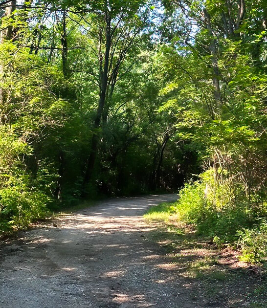 stunning hidden lakes illinois ftr