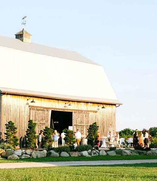 stunning winery playground michigan ftr