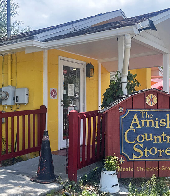 tiny amish store florida ftr
