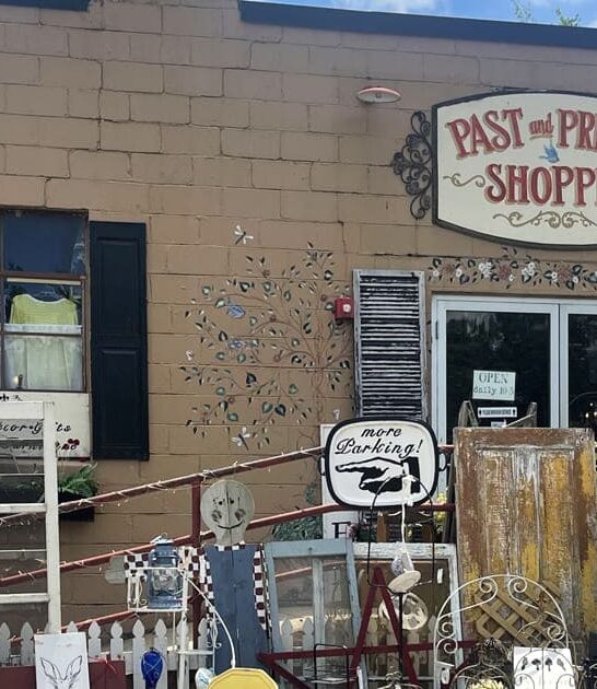 tiny antique store illinois ftr