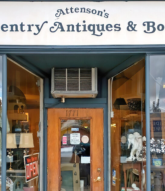 tiny antique store ohio ftr