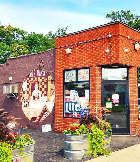 tiny sub shop michigan ftr