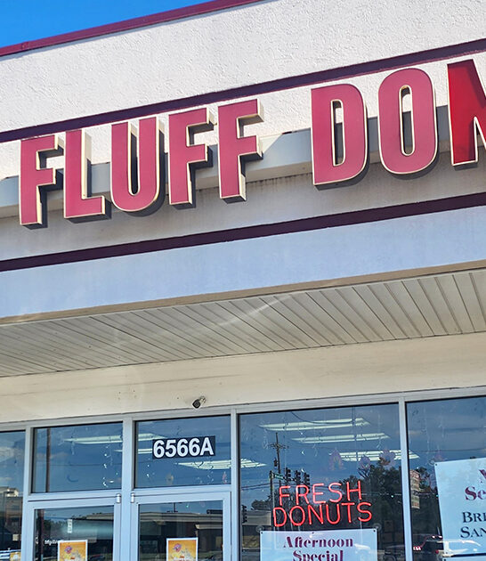 top apple fritters illinois ftr