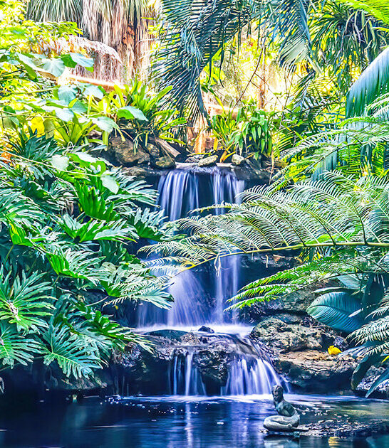 tropical garden waterfalls florida ftr