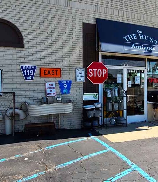 unique antique store michigan ftr
