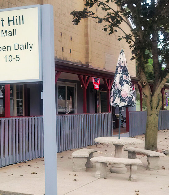 unknown illinois antique mall ftr