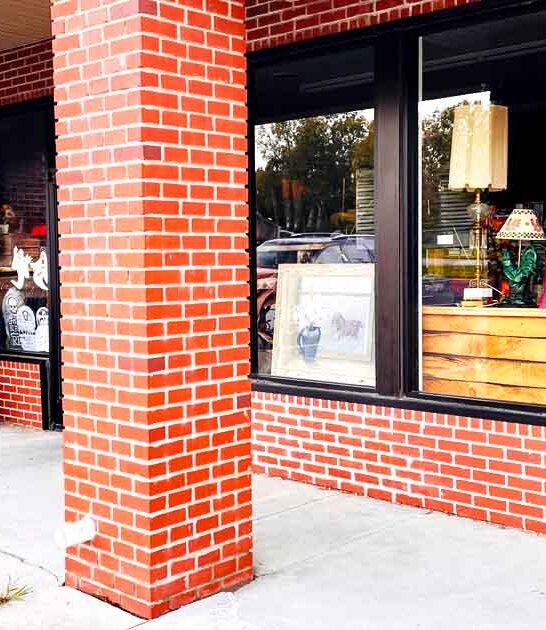 vintage thrift shop michigan ftr